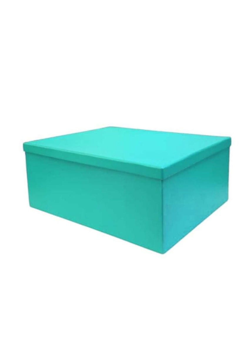 MINT GREEN BOX – The Party Station